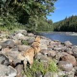 Robe Canyon Historic Trail, Washington - 854 Reviews, Map | AllTrails