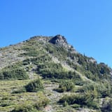 Berkeley Park Trail, Washington - 375 Reviews, Map | AllTrails