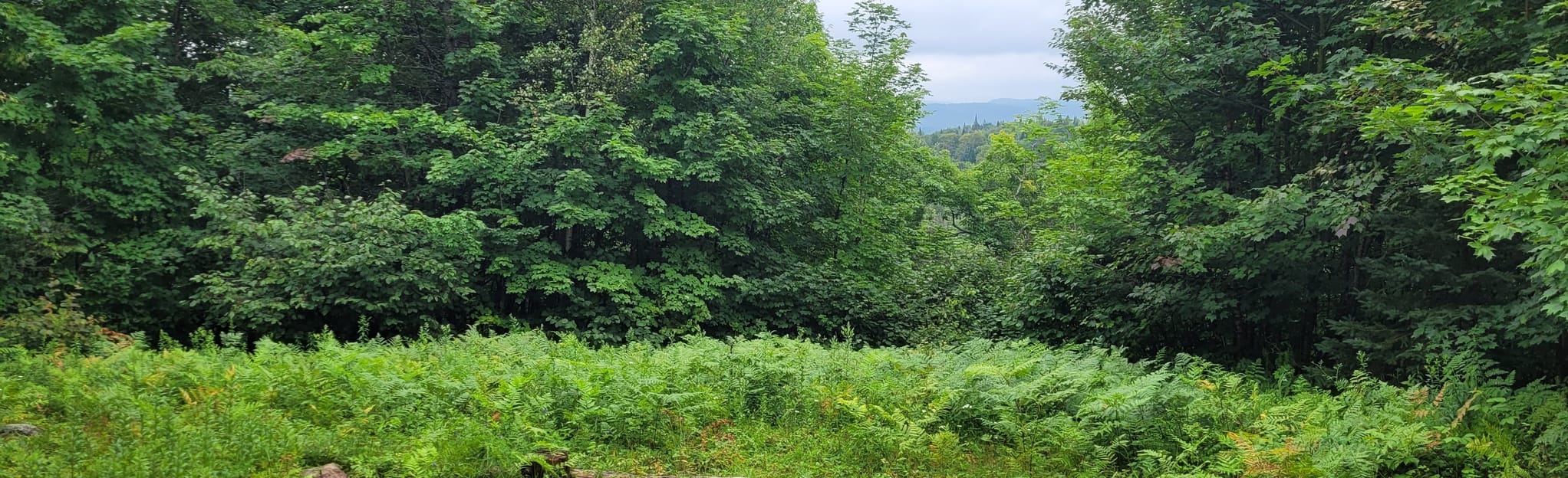 Mont Catherine Loop: 112 Reviews, Map - Quebec, Canada | AllTrails