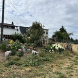 Chief Sealth Trail, Washington - 84 Reviews, Map | AllTrails