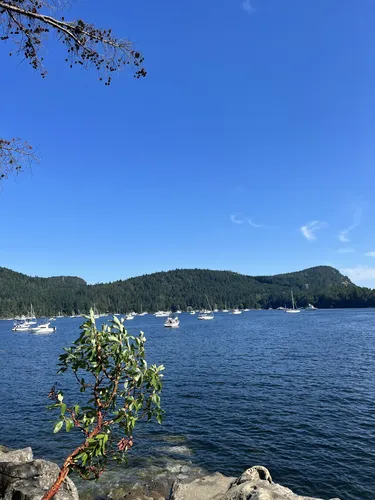 10 Best Trails and Hikes in Pender Island | AllTrails