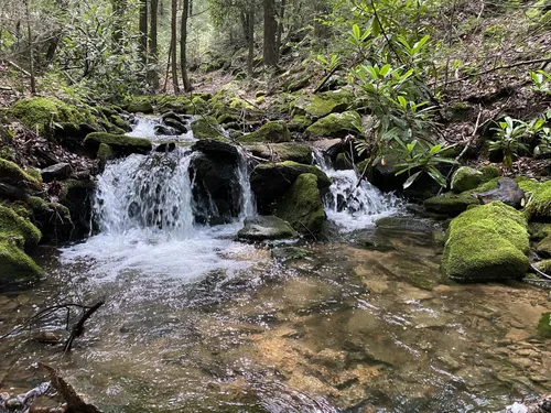 10 Best Hikes and Trails in Sproul State Forest | AllTrails