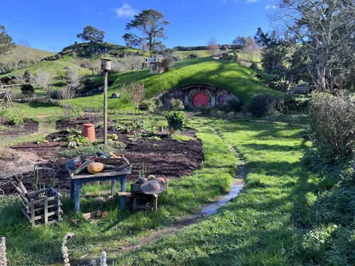 10 Best Trails and Hikes in Matamata | AllTrails