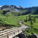 Camp Muir via Skyline Loop, Washington - 224 Reviews, Map | AllTrails