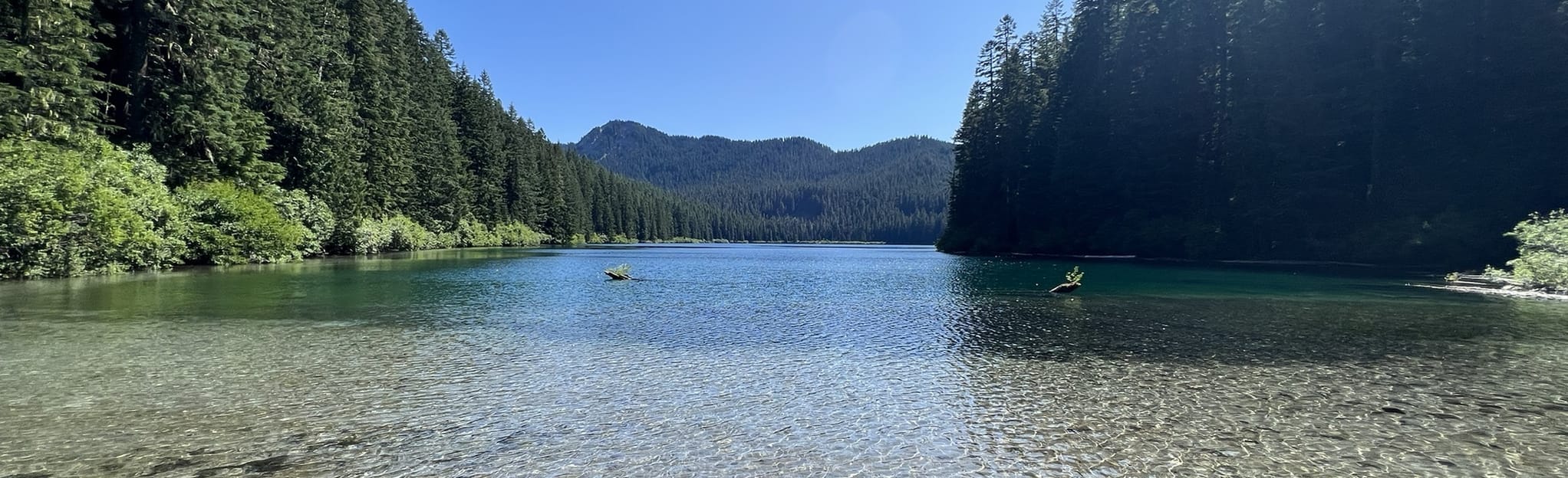 AllTrails | Blue Lake Ridge Trail: 15 Reviews, Map - Washington