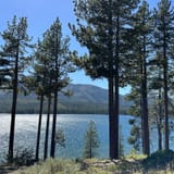 Fallen Leaf Lake Trail, California - 1,110 Reviews, Map | AllTrails