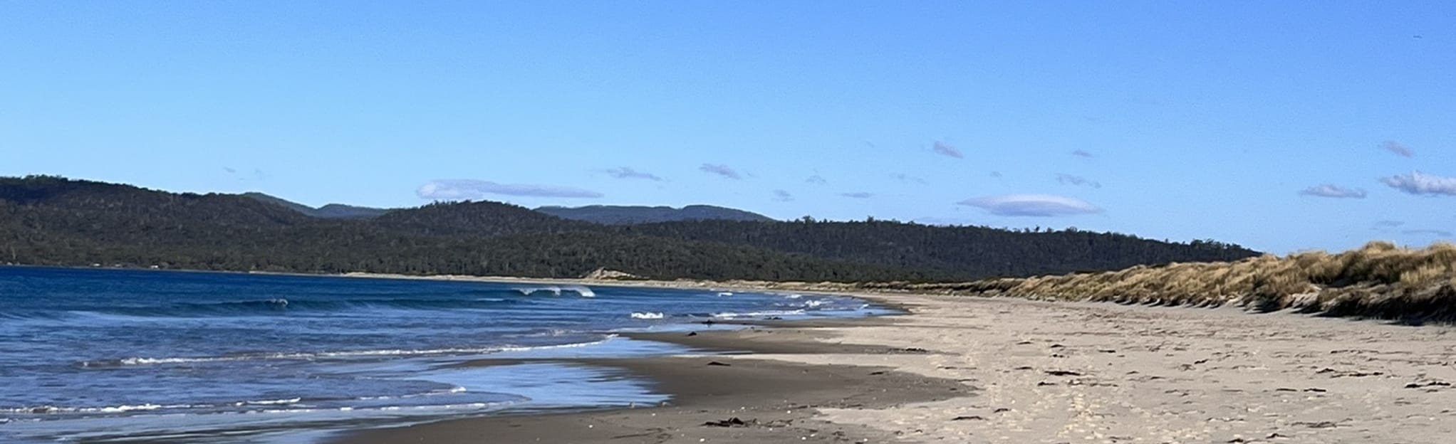 Marion Beach Walk, Tasmania, Australia - 17 Reviews, Map | AllTrails