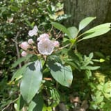 Morrison and Rimrock Trail Loop, Pennsylvania - 492 Reviews, Map ...