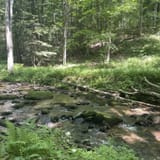 Morrison and Rimrock Trail Loop, Pennsylvania - 492 Reviews, Map ...