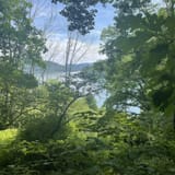 Morrison and Rimrock Trail Loop, Pennsylvania - 430 Reviews, Map ...