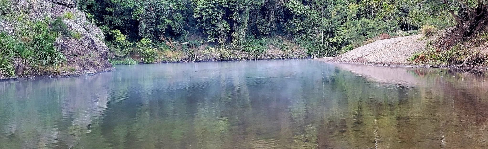 Cedar Grove Circuit, Queensland, Australia - 25 Reviews, Map | AllTrails