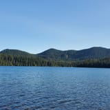 Lost Lake Loop (Lakeshore Trail), Oregon - 548 Reviews, Map | AllTrails