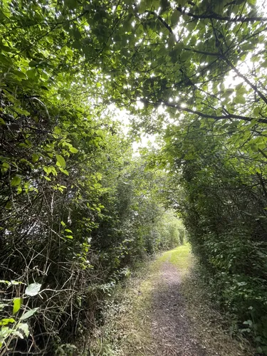 Best Hikes and Trails in Howe Wood Park | AllTrails
