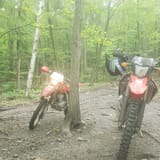 AOAA Green Trails West Loop, Pennsylvania - 46 Reviews, Map | AllTrails