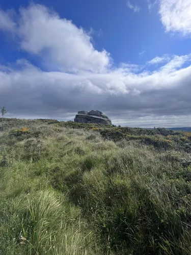 10 Best Hikes and Trails in Three Rock Wood | AllTrails