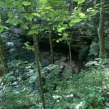 Bunkum Cave Trail, Tennessee - 247 Reviews, Map | AllTrails