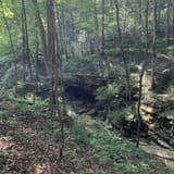 Bunkum Cave Trail, Tennessee - 247 Reviews, Map | AllTrails