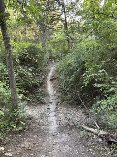2023 Best Trail Running Trails in Oak Cliff Nature Preserve | AllTrails