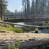 Fall River Trail, Oregon - 414 Reviews, Map | AllTrails