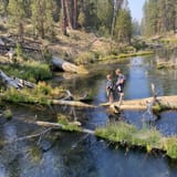 Fall River Trail, Oregon - 414 Reviews, Map | AllTrails