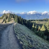 Sunrise View Point via High Ridge Nature Trail, Washington - 753 ...