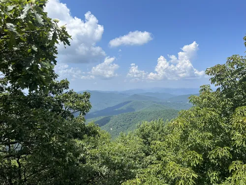 10 Best Hikes and Trails in Chestatee Wildlife Management Area | AllTrails