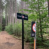 Pinhey Forest 31 Trail, Ontario, Canada - 616 Reviews, Map | AllTrails