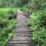 Pinhey Forest 31 Trail, Ontario, Canada - 616 Reviews, Map | AllTrails