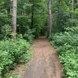 Pinhey Forest 31 Trail, Ontario, Canada - 616 Reviews, Map | AllTrails
