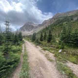 Bow Summit Viewpoint, Alberta, Canada - 717 Reviews, Map | AllTrails