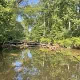 Difficult Run Trail, Virginia - 694 Reviews, Map | AllTrails