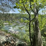 Difficult Run Trail, Virginia - 694 Reviews, Map | AllTrails