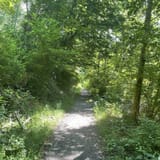 Difficult Run Trail, Virginia - 694 Reviews, Map | AllTrails