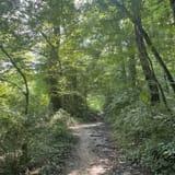 Difficult Run Trail, Virginia - 711 Reviews, Map | AllTrails