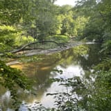 Difficult Run Trail, Virginia - 694 Reviews, Map | AllTrails