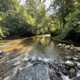 Difficult Run Trail, Virginia - 694 Reviews, Map | AllTrails