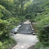 Difficult Run Trail, Virginia - 694 Reviews, Map | AllTrails