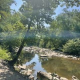 Difficult Run Trail, Virginia - 694 Reviews, Map | AllTrails