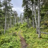 Gun Hill Trail, Newfoundland and Labrador, Canada - 121 Reviews, Map ...