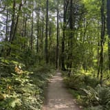 Tryon Creek Triple Bridge Loop, Oregon - 1,356 Reviews, Map | AllTrails