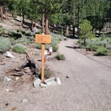 June Lake Loop Trail, California - 385 Reviews, Map | AllTrails