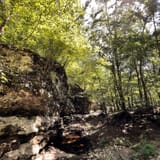 QuiVaLa Elise Falls Trail, Arkansas - 186 Reviews, Map | AllTrails