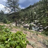 Gill Trail, Colorado - 305 Reviews, Map | AllTrails