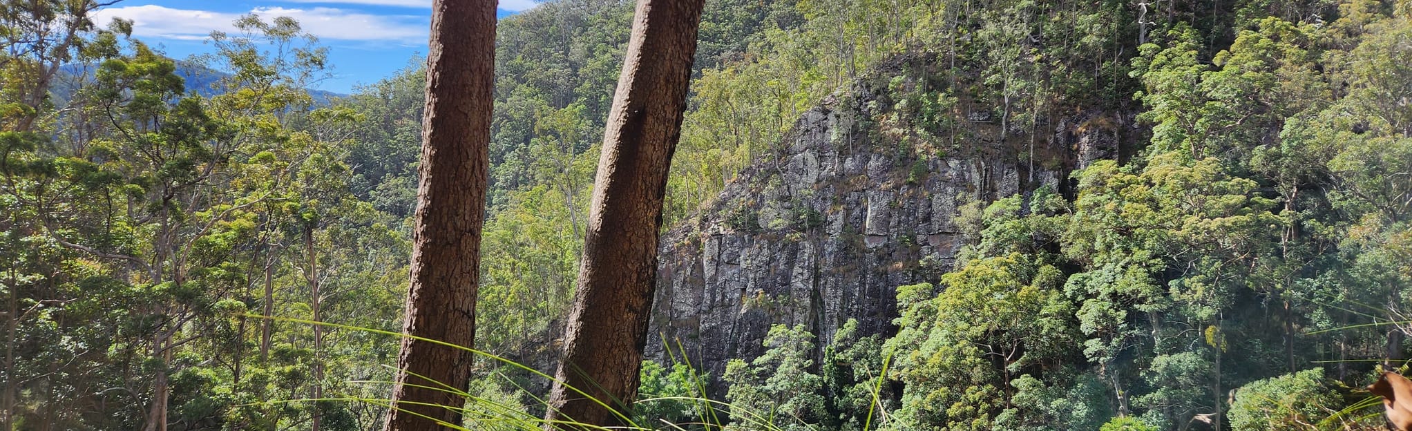 Conondale Range Great Walk: Booloumba Creek to Summer Falls: 22 Reviews ...