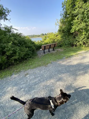 Best Hikes and Trails in Webb Memorial State Park | AllTrails