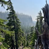 Obsidian Trail, Oregon - 675 Reviews, Map | AllTrails
