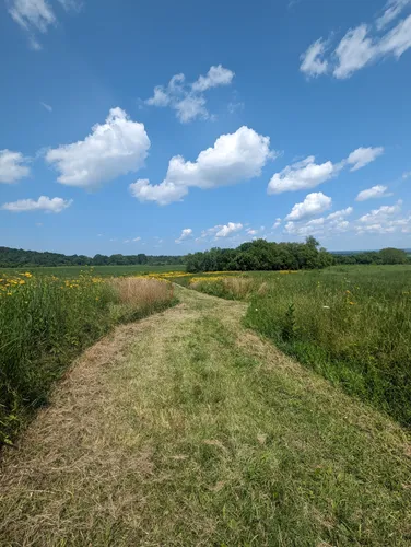 Best Hikes and Trails in Camillus Forest Unique Area | AllTrails