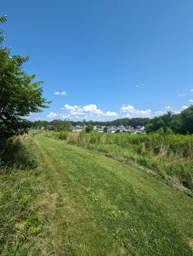 Best Hikes and Trails in Camillus Forest Unique Area | AllTrails