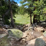 Hauser Lake Trail, Wyoming - 20 Reviews, Map | AllTrails