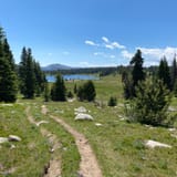 Hauser Lake Trail, Wyoming - 29 Reviews, Map | AllTrails